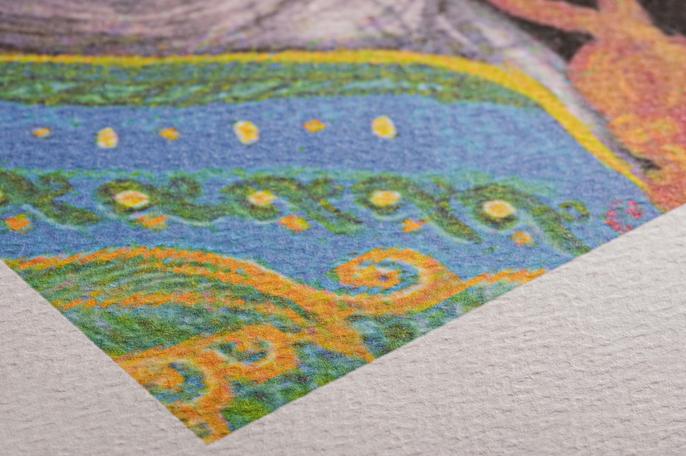 Breathing Color 600MT 24" x 50' Roll – Amplis Store