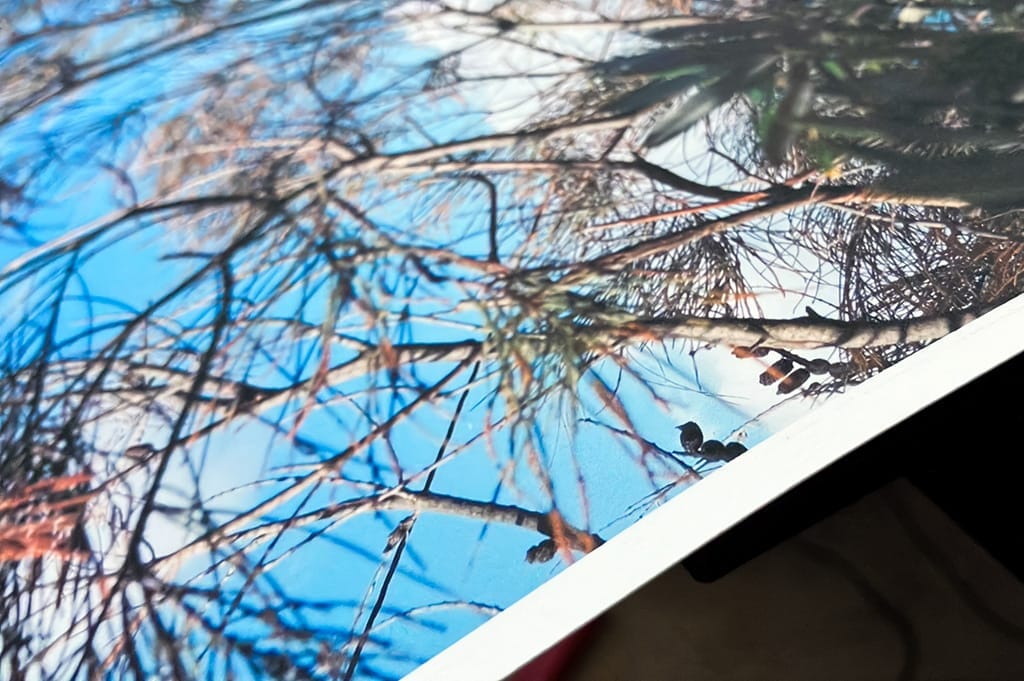 Breathing Color Vibrance Baryta Matte 36"x50' – Amplis Store